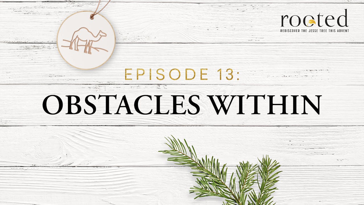 Obstacles Within | Rooted | Episode 13 - Season 1 - Formed
