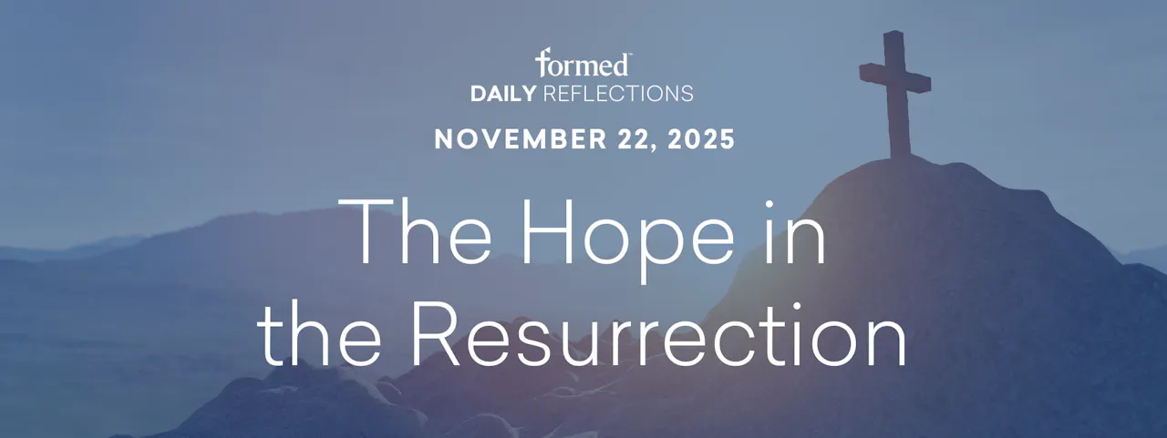 Daily Reflections — November 22, 2025 - Ordinary Time—November 2025 ...