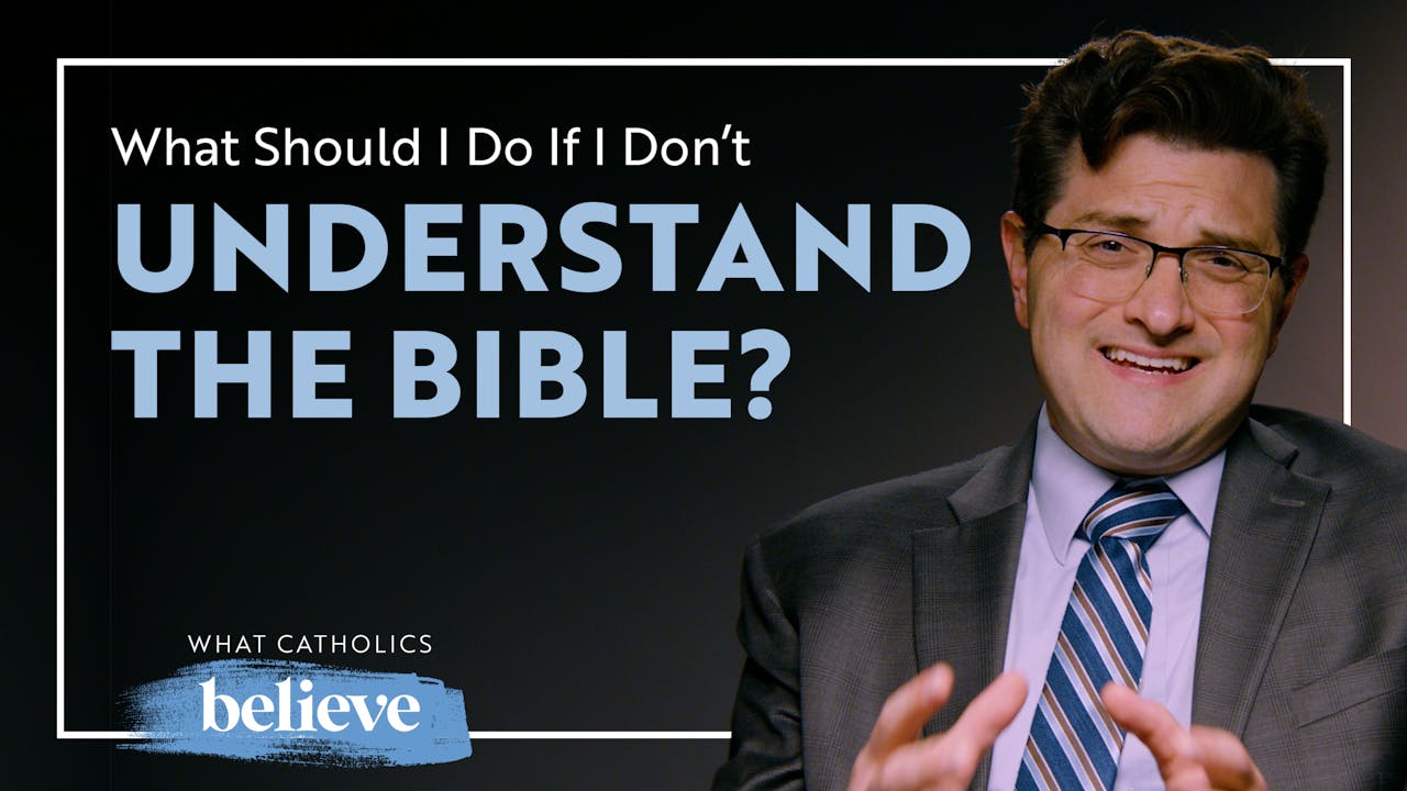 What Catholics Believe About Scripture: Truth, Origin & How to Read the ...