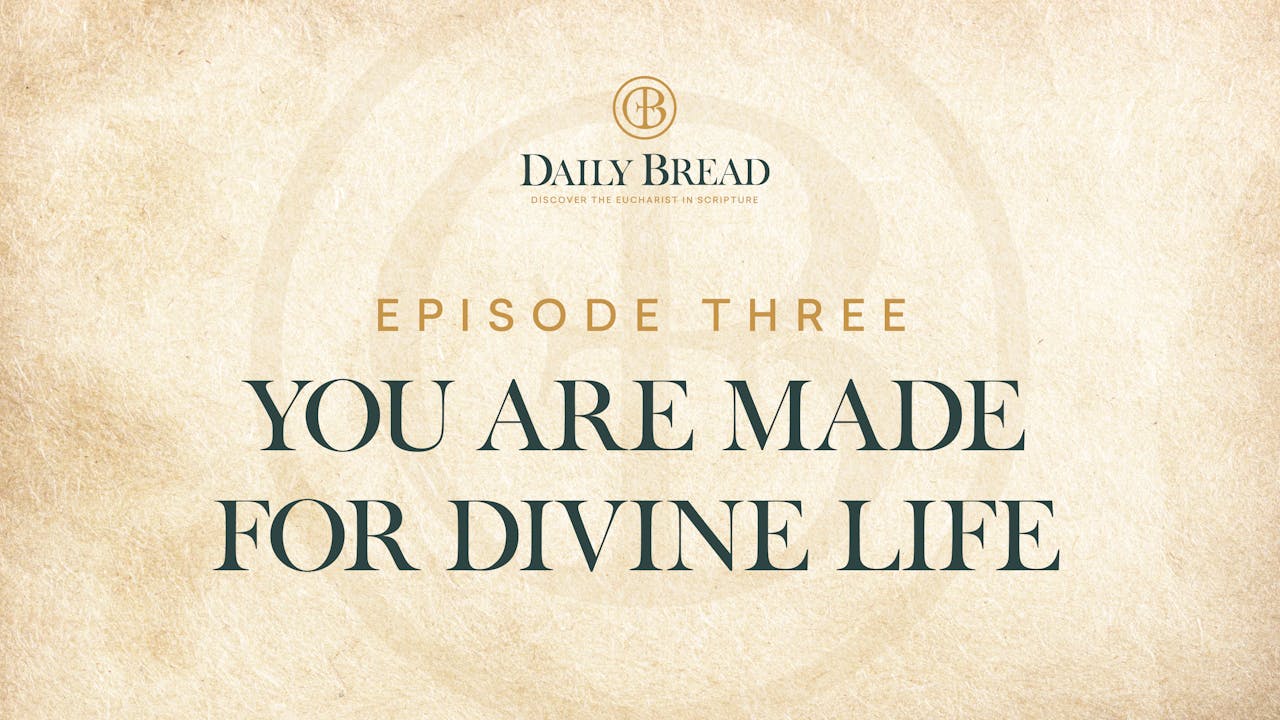 You Are Made for Divine Life | Daily Bread | Episode 3 - Daily Bread ...