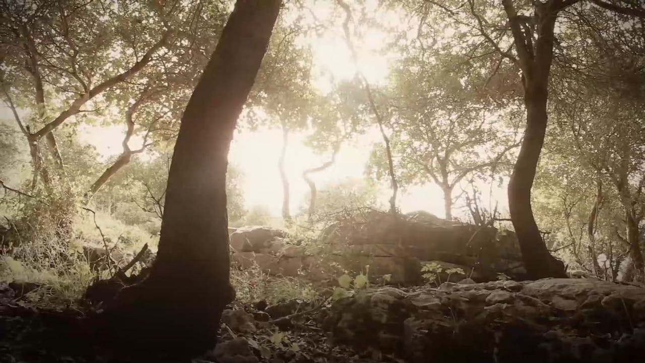 Trinity, Faith & the God Who Is Love | Symbolon for Teens: The Creed ...