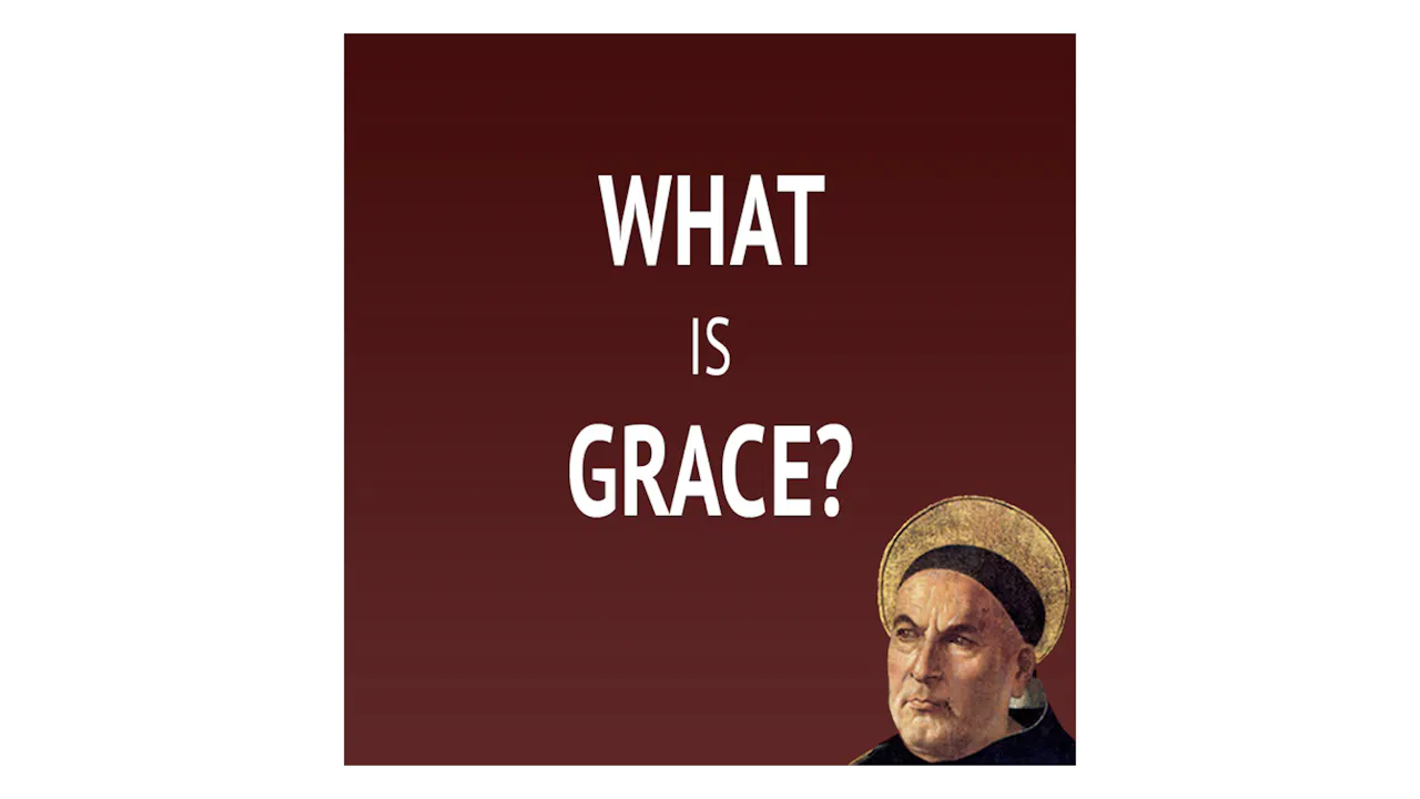 What Is Grace? with Michael Gormley - January 28 — St. Thomas Aquinas ...