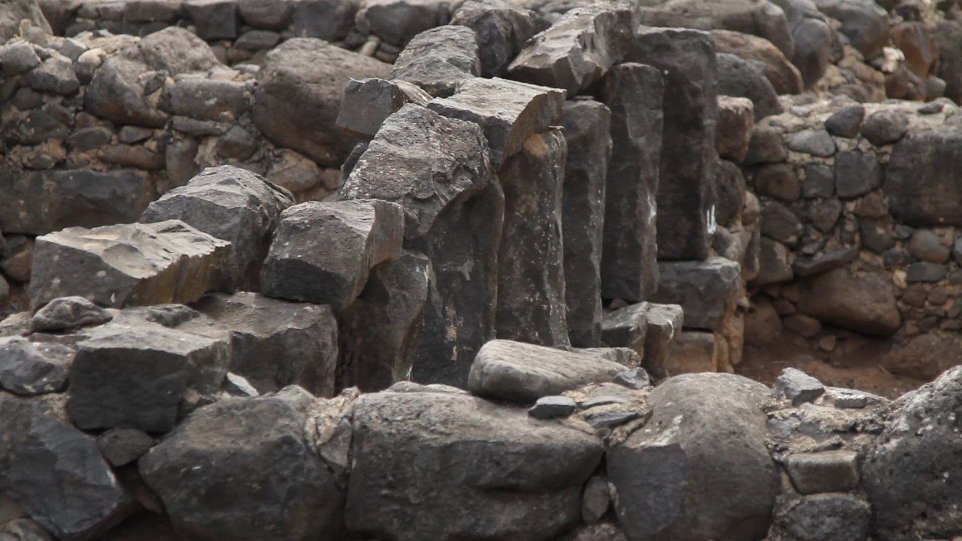 Lectio: Peter with Dr. Tim Gray - FORMED