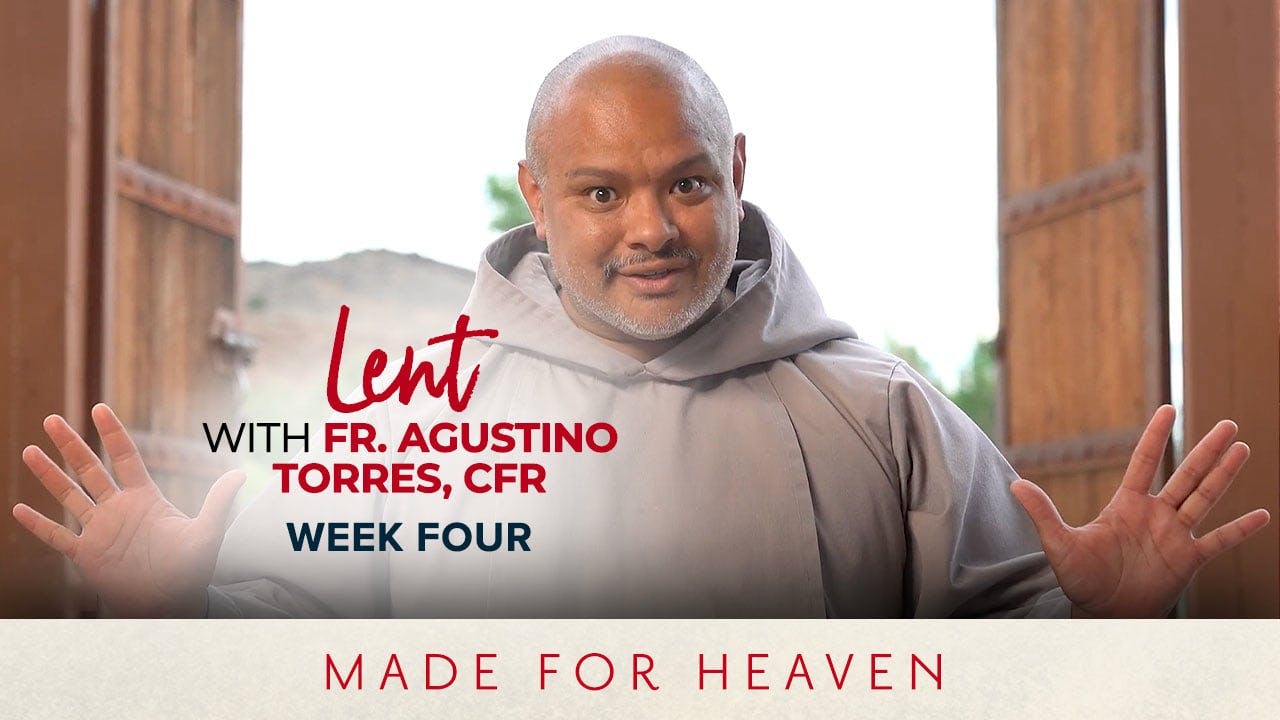 Week Four | Lent with Fr. Agustino - Made for Heaven | Lent with Fr ...