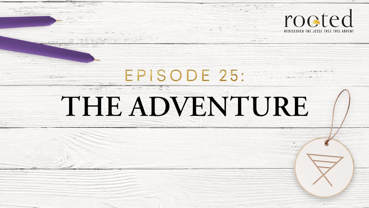 The Adventure | Rooted | Episode 25 - Season 1 - Formed