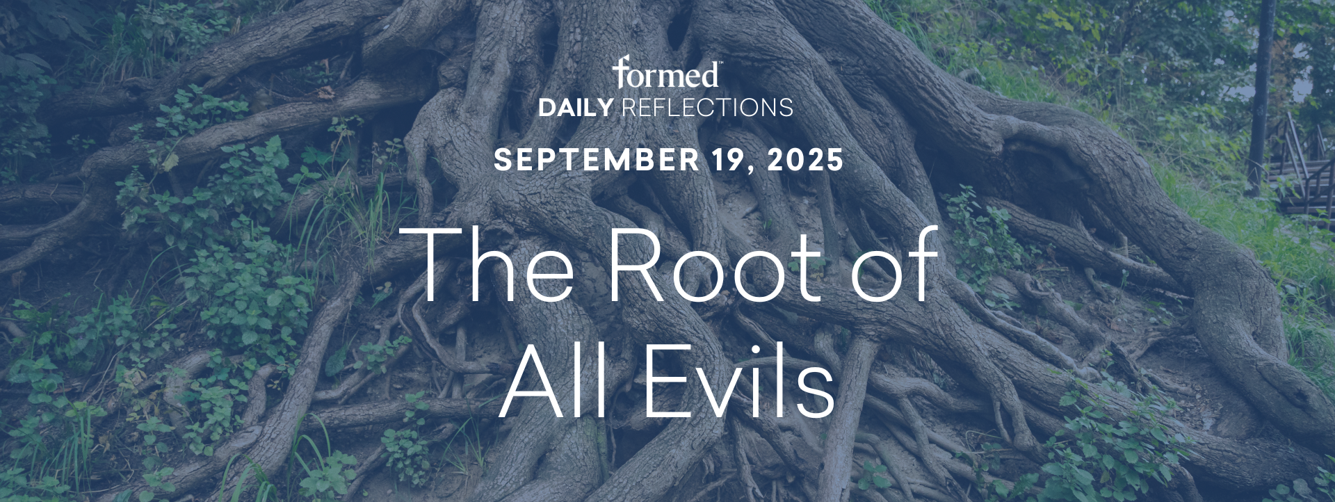 Daily Reflections — September 19, 2025 - Formed