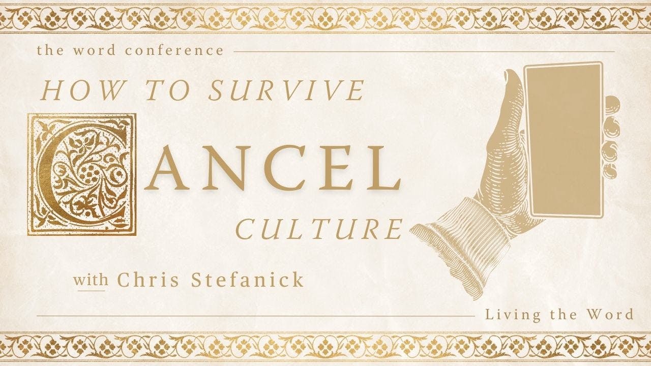 How to Survive Cancel Culture - All Videos - Formed