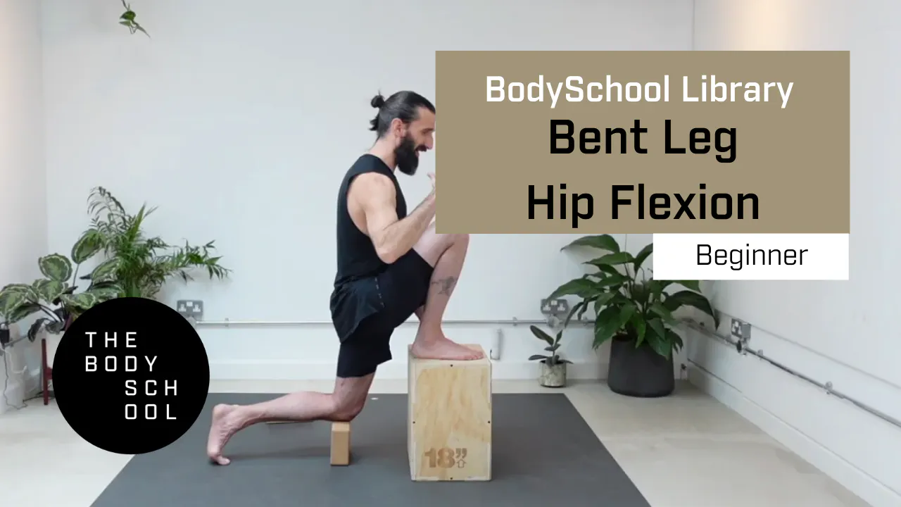 Beginner Bent Leg Hip Flexion - Flexion - The Body School