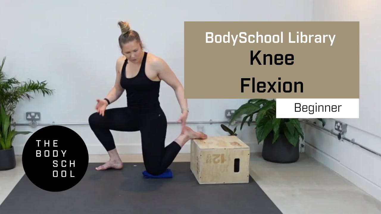 Beginner Knee Flexion - Flexion - The Body School