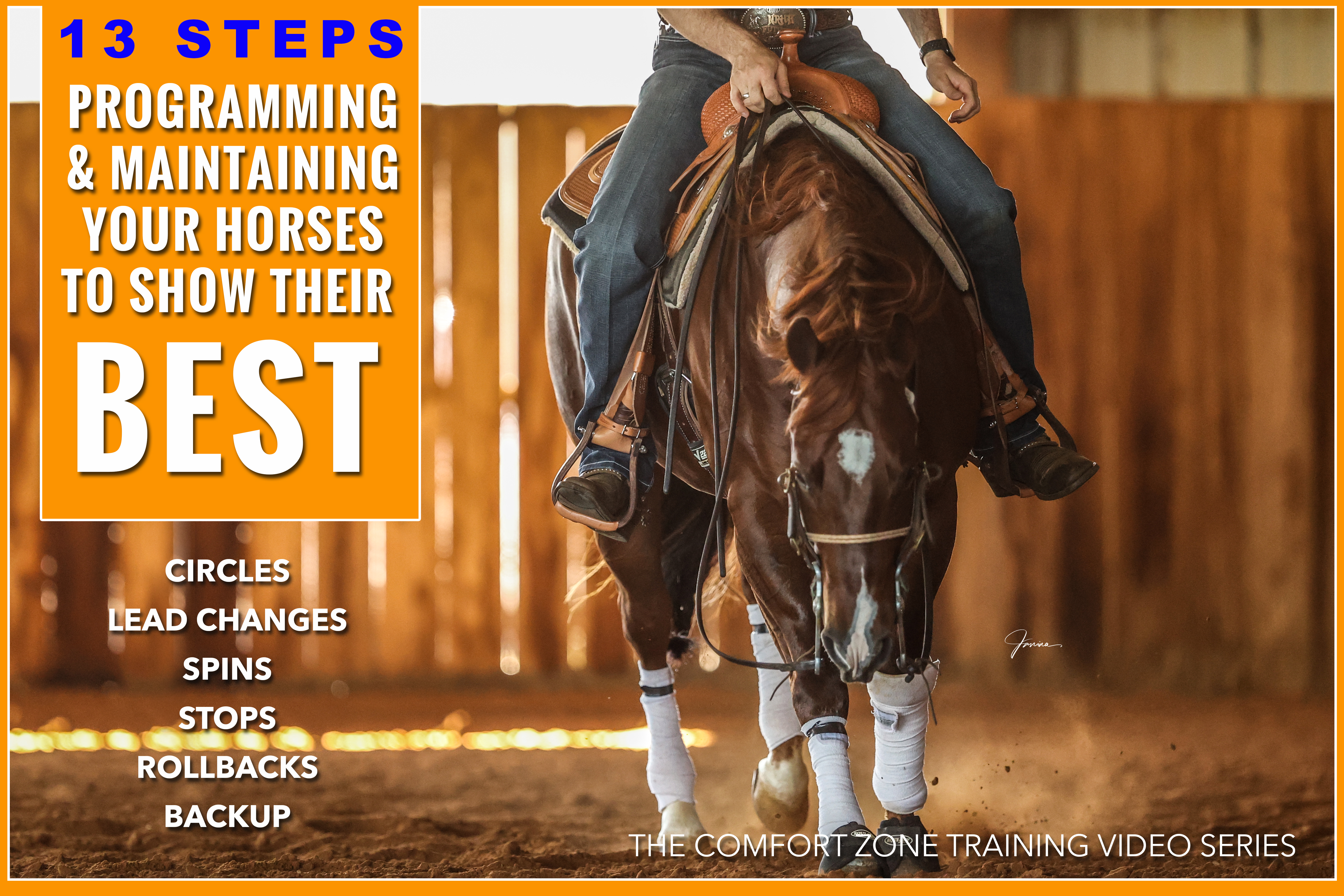 Programming Your Horses To Show - 13 Steps - Horse Training Pro - The ...