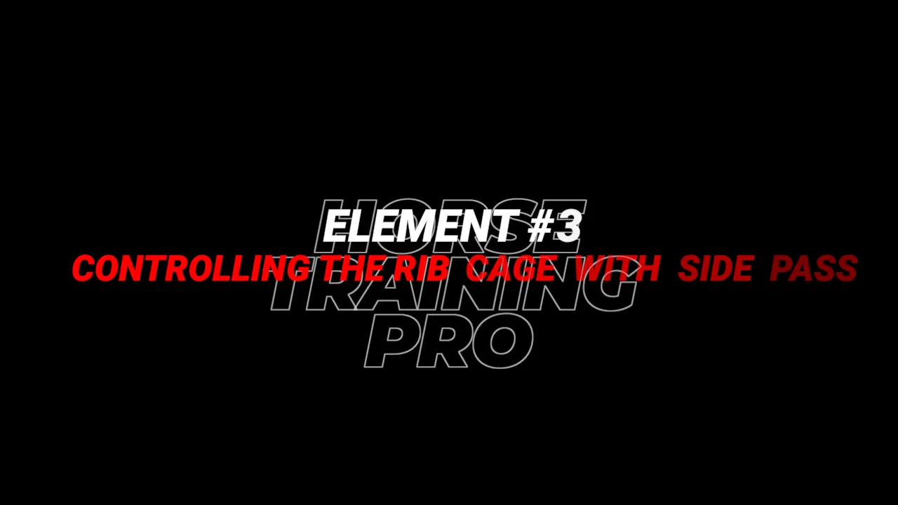 Element 3 - Controlling the Rib Cage Using Side Pass - Horse Training ...