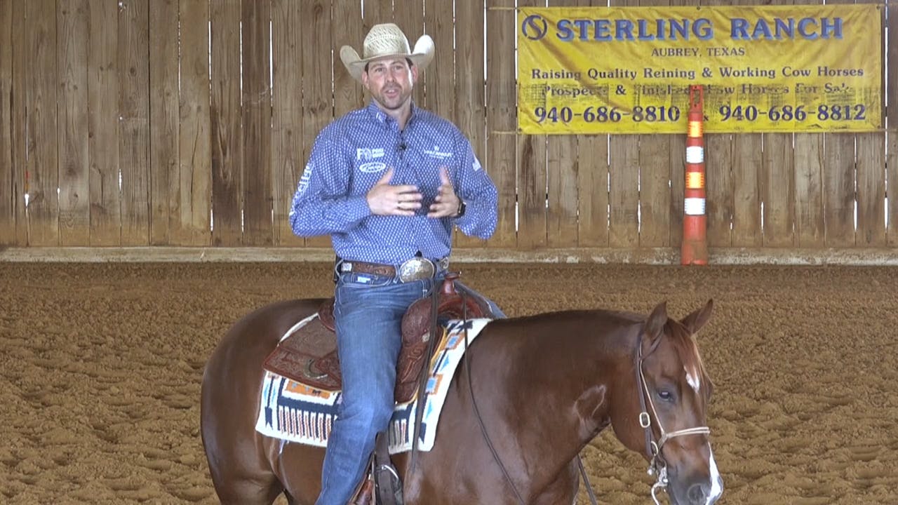 Programming 1 - Introduction - Programming Your Horses To Show - 13 ...