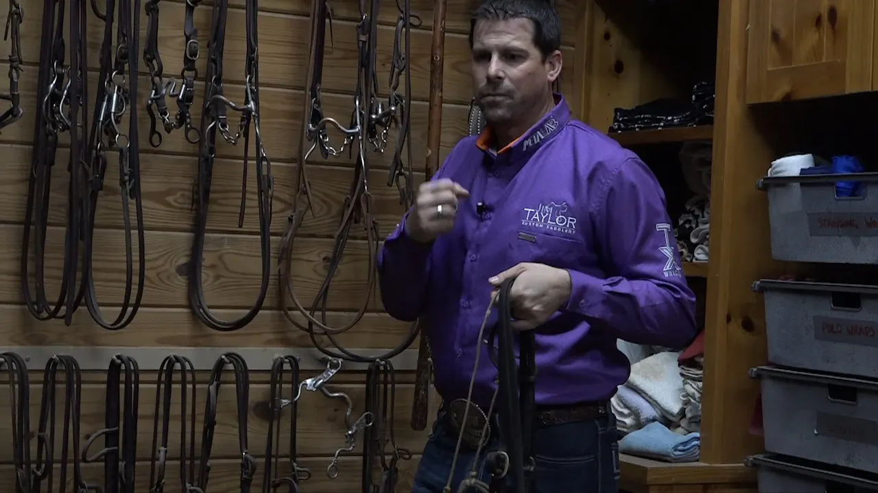 How I Adjust & Use Nose Bands And Various Bits - Horse Training Pro ...