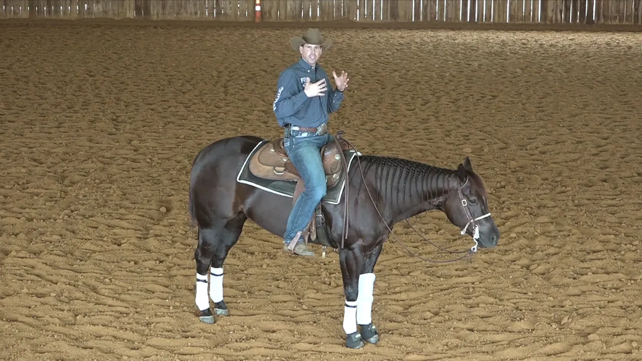 Optimizing the Stops Step-1 - Horse Training Pro - The Comfort Zone ...