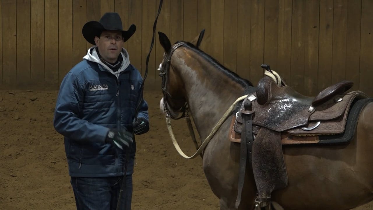 2 Colt Starting - Step 1 Self Locomotion - Horse Training Pro - The ...