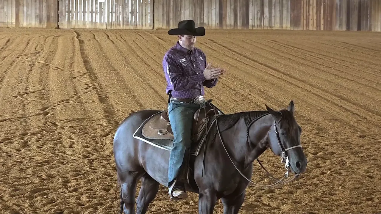Lead Changes - Basics & Preparation - Horse Training Pro - The Comfort ...