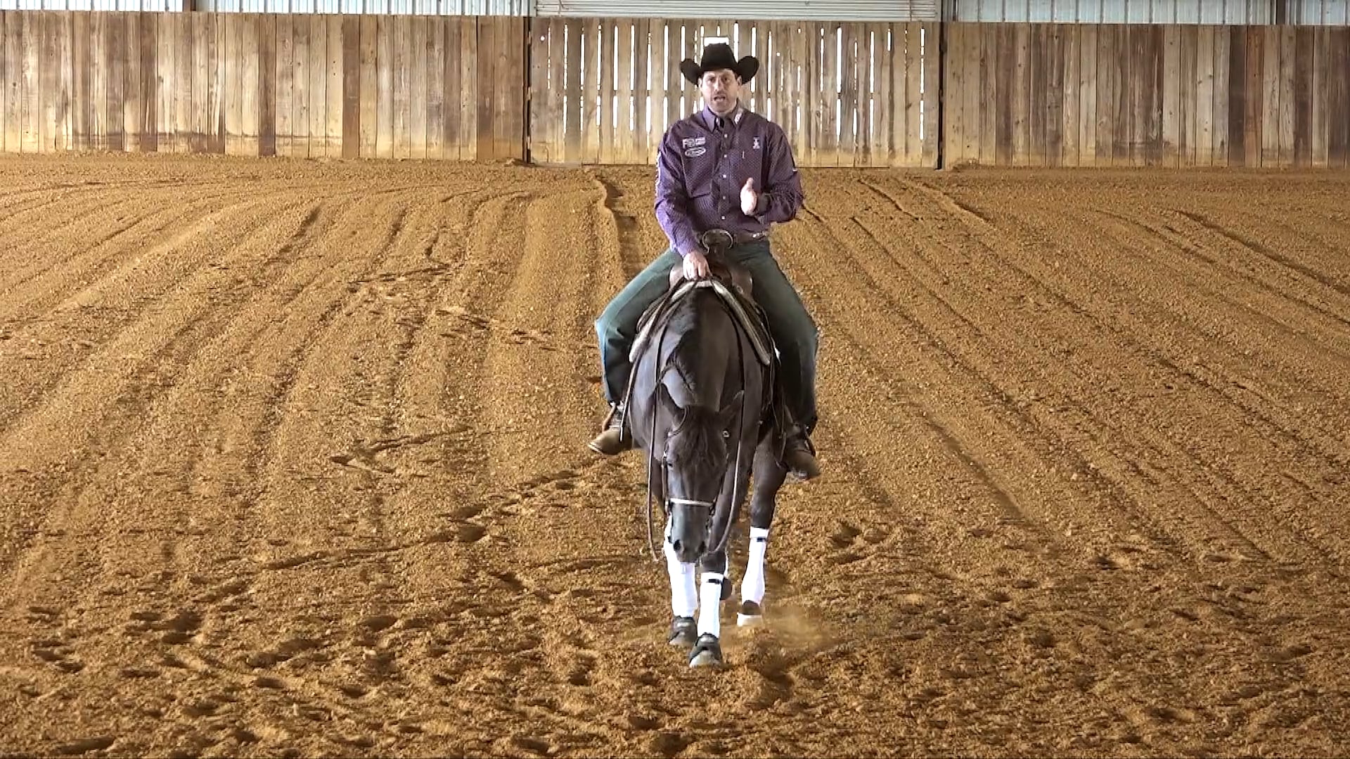 Side Passing - Horse Training Pro - The Comfort Zone Horse Training ...