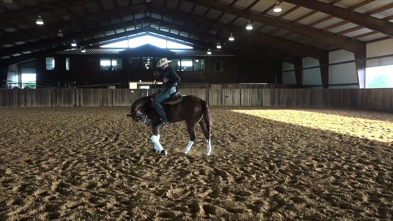 How to use your Spurs - How To's - Horse Training Pro - The Comfort ...