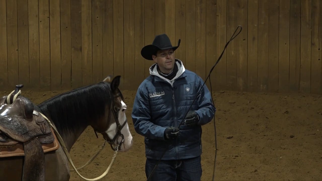 6 Colt Starting - Step 5 Following The Nose - Horse Training Pro - The ...