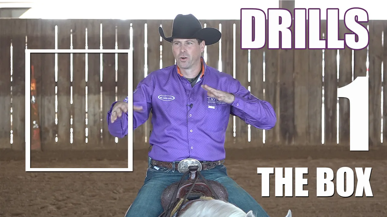 Top Drills 1 - The Box - Horse Training Pro - The Comfort Zone Horse ...