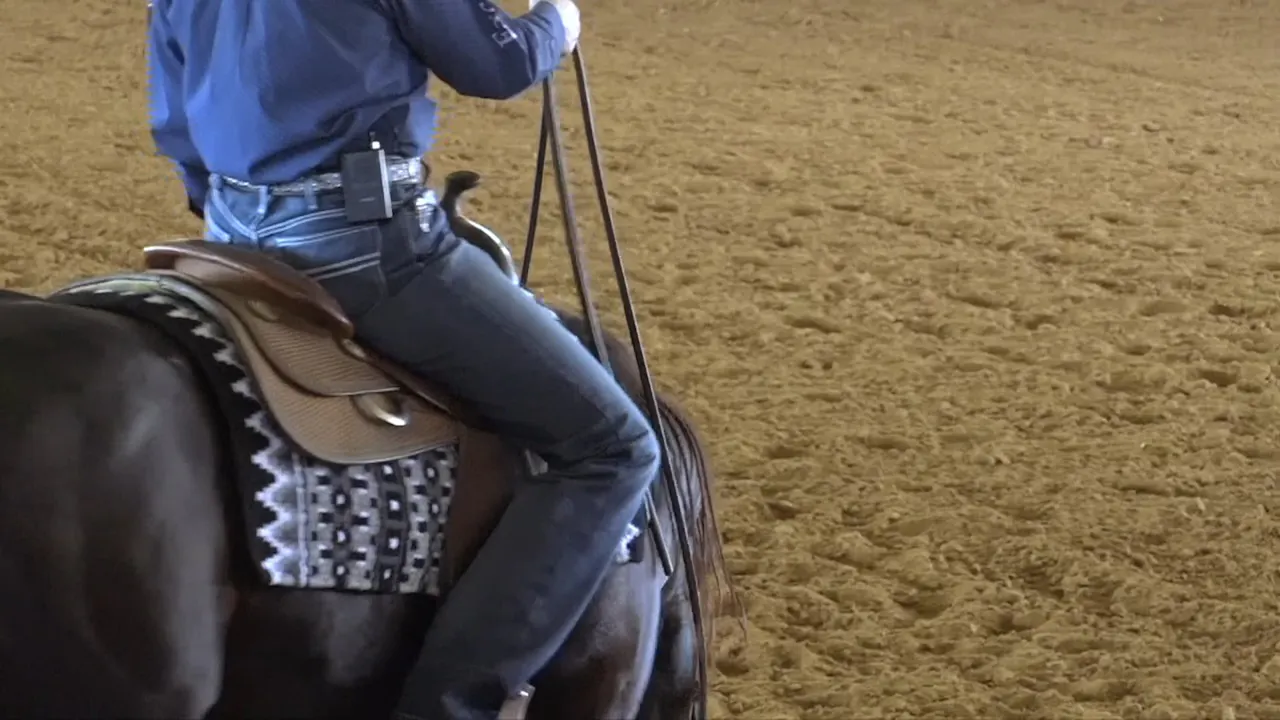 Step 10 - Indirect Rein to lift Shoulder in Spin - Horse Training Pro ...