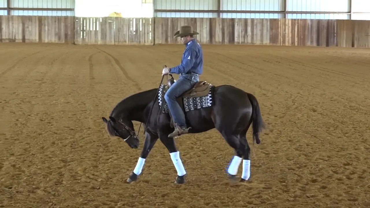 Step 2 - Indirect Rein - Horse Training Pro - The Comfort Zone Horse ...