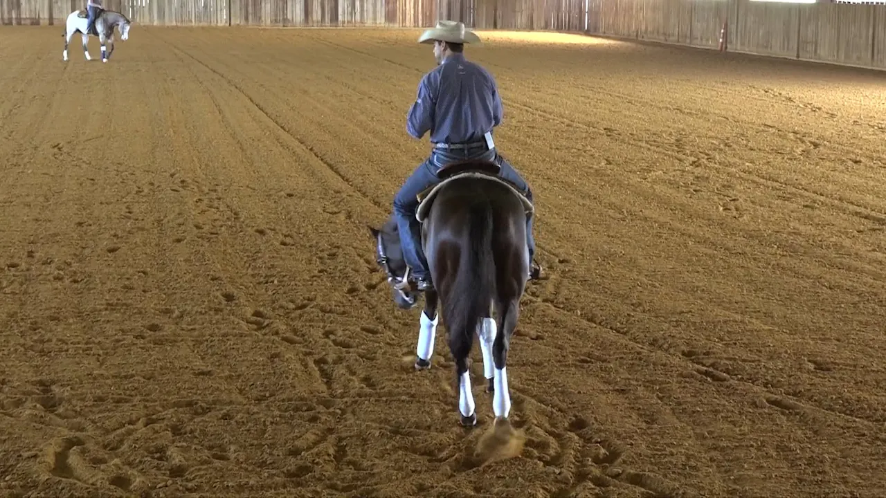 Indirect Rein 2 - About this horse - Horse Training Pro - The Comfort ...