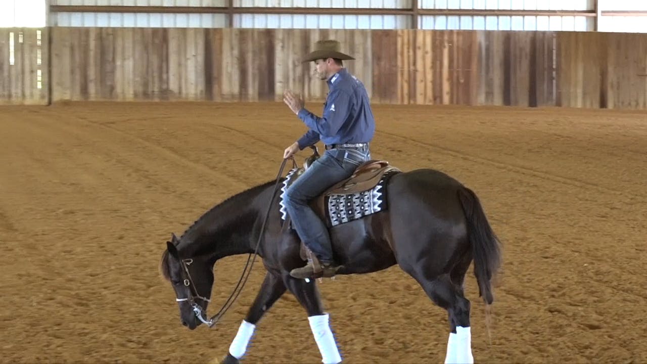 Step 11 - Correcting the Outside Shoulder & Rib Cage - Horse Training ...