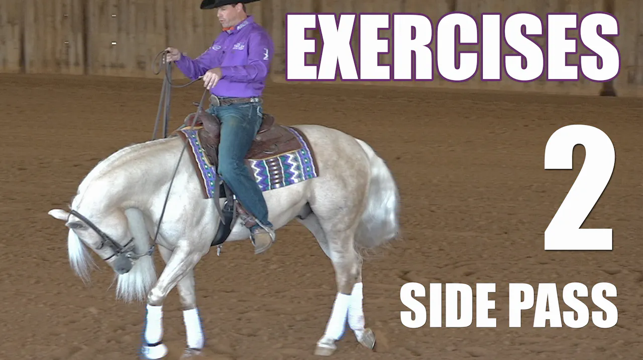 Top Exercises 2 - Side Pass - Horse Training Pro - The Comfort Zone ...