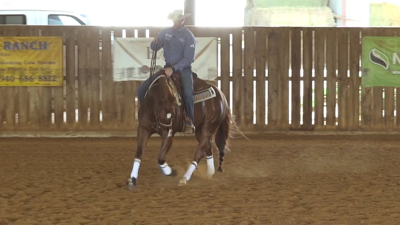 Programming 3 - Locking In Position - Horse Training Pro - The Comfort ...