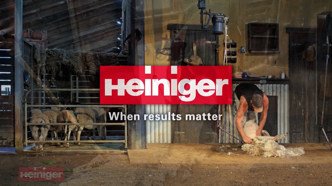 Open Speed Shearing Final - Round 1 - Golden Shears & World ...