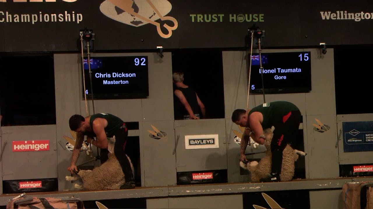 Open Speed Shearing Semi Finals - Round 2 - Golden Shears & World ...