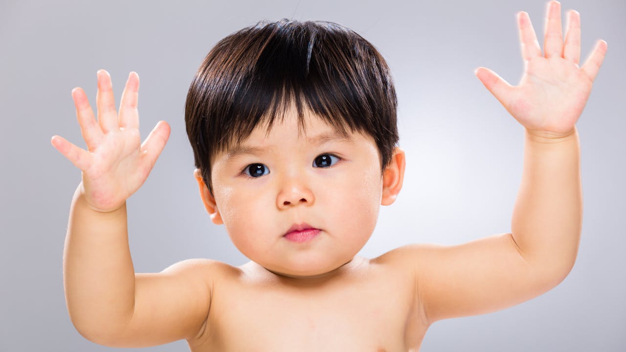 Baby Sign Language 101 LUNA Mother Co baby-sign-language-101-luna-mother-co
