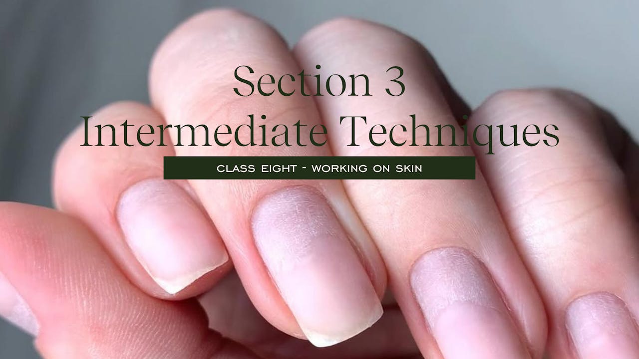 E-Filing Course - Class 8 - Section 1 - The Nail Hub TV