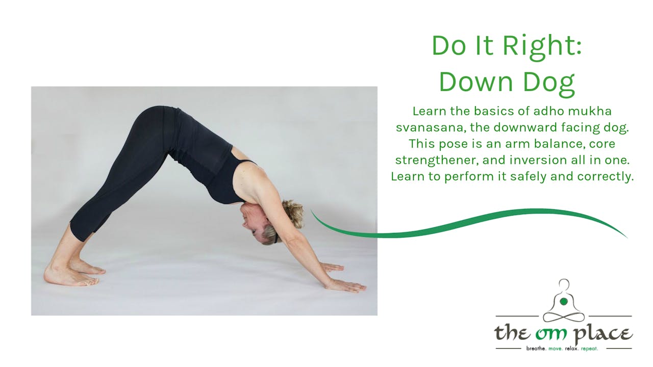 DOWNDOG-BASICS - SEASON 1 - the OM channel - Subscription