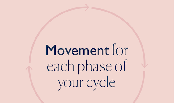 Sculpt + Sync: Move Through Each Phase of Your Cycle - The Sculpt Society