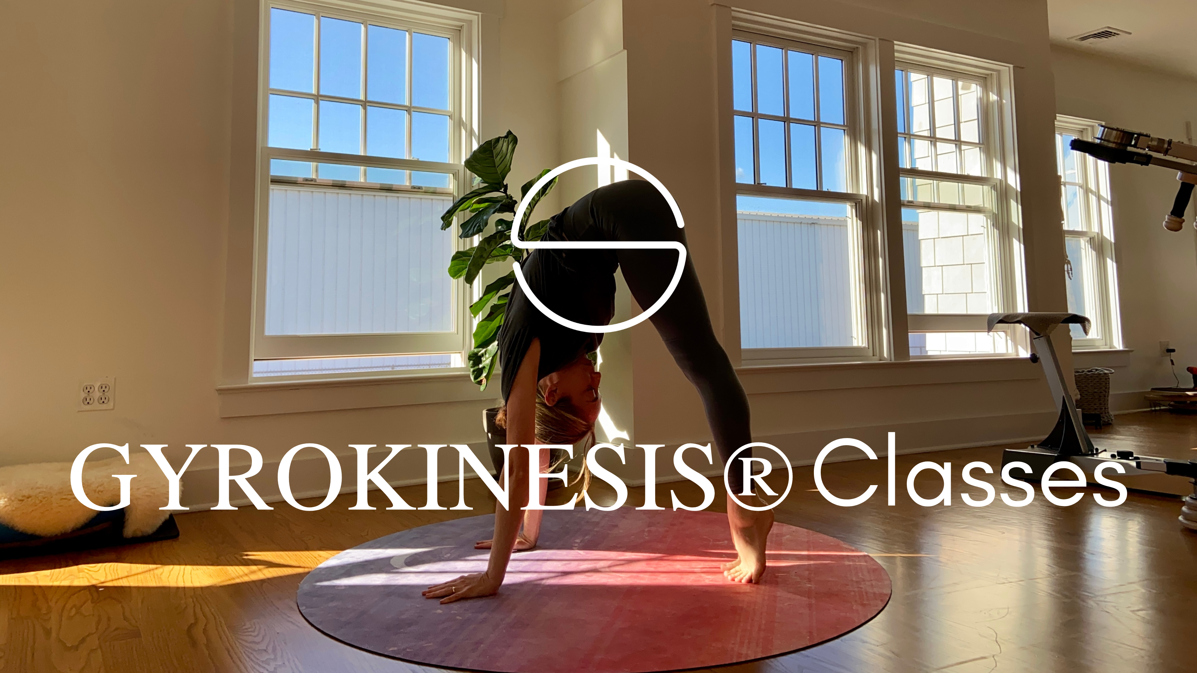GYROKINESIS® Flow Classes - The Seed Center On-Demand