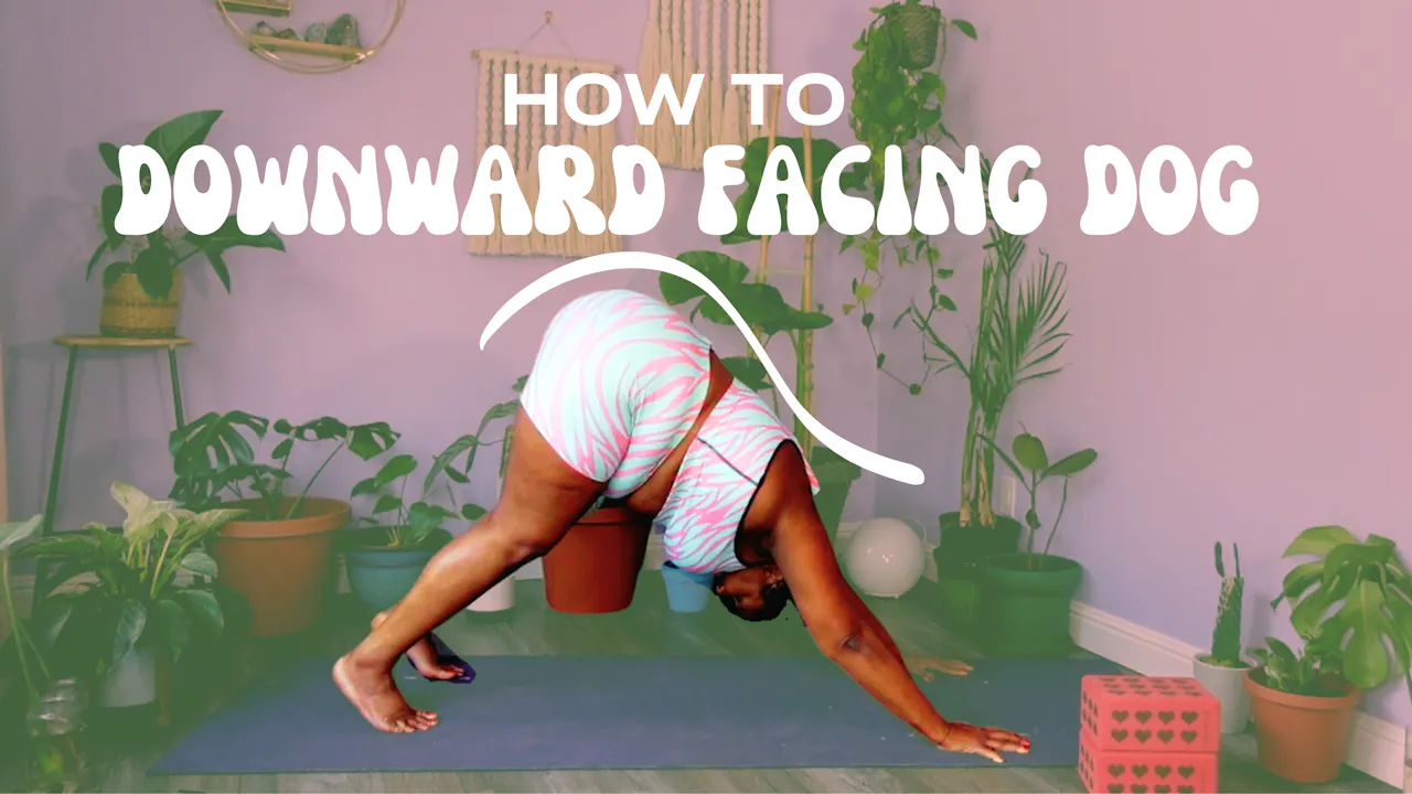How To Downward Facing Dog | Beginner and Plus Size Friendly Tutorial ...