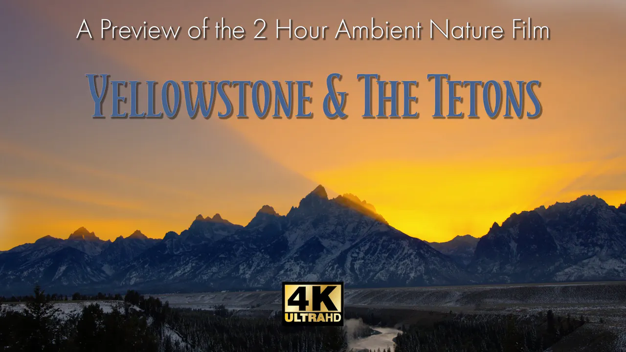 Preview for Yellowstone & The Tetons Nature Film - NatureStream.TV