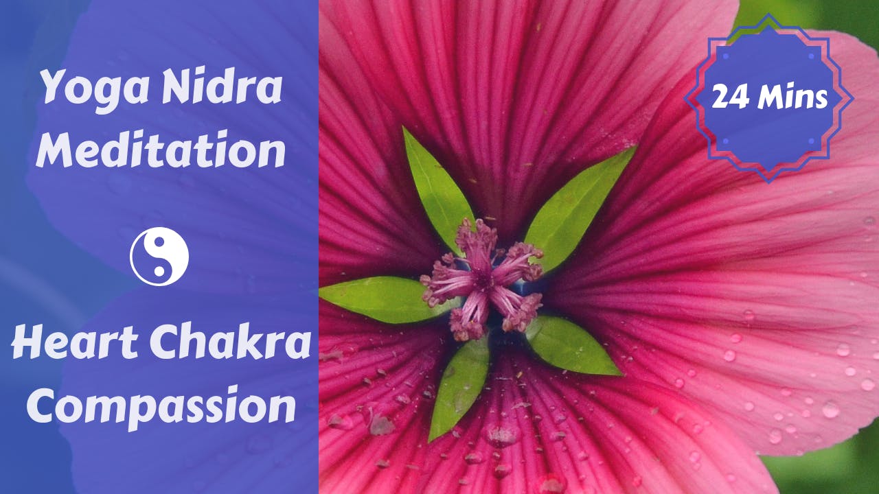 Yoga Nidra for Compassion | Heart Chakra - YRS Self Care Circle