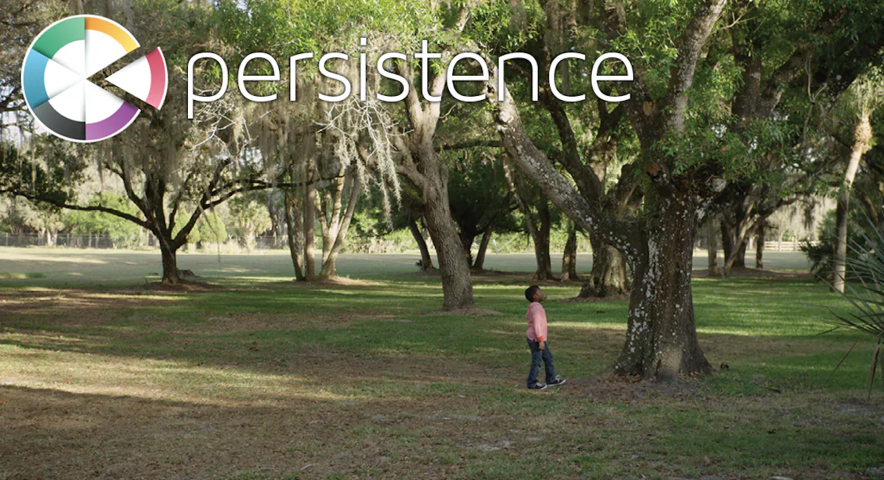 5 PERSISTENCE cinematic video - THRIVE STUDY SERIES