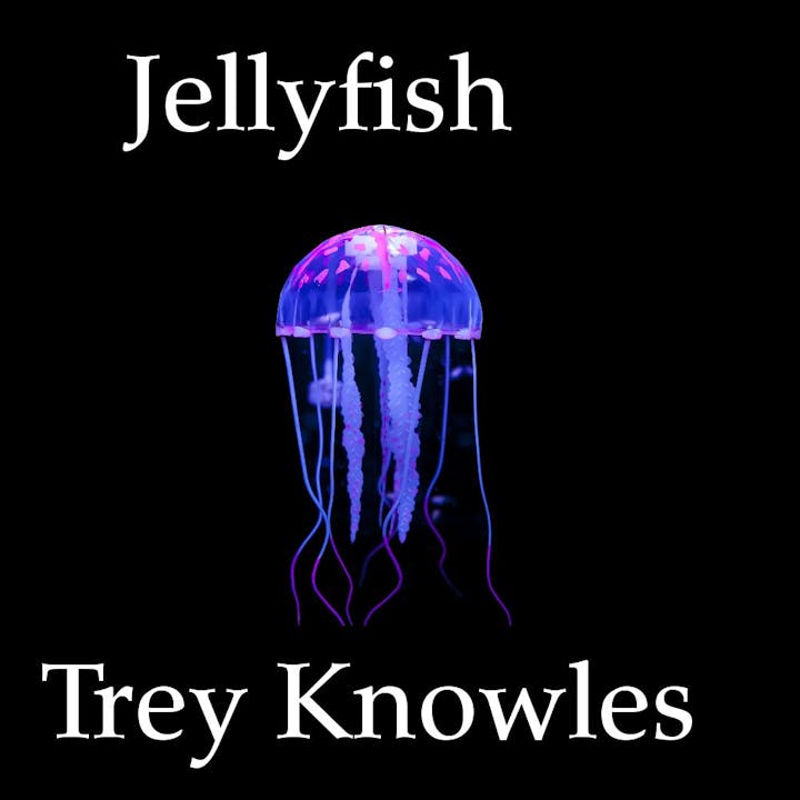 Jellyfish - Trey Knowles Music - Trey Knowles Power Message Tv