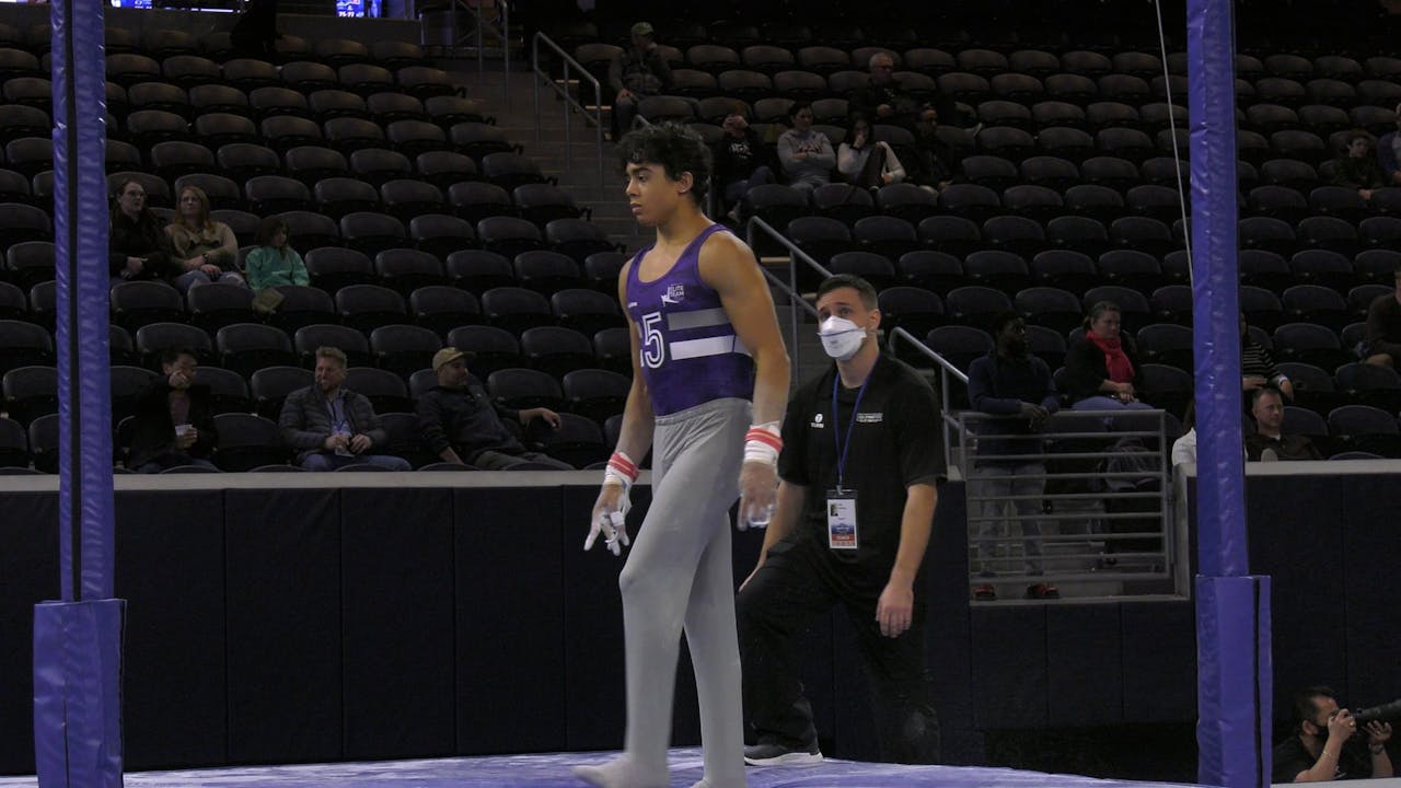 Tai Gopaul- Still Rings - 2022 Elite Team Cup - 2022 Elite Team Cup ...