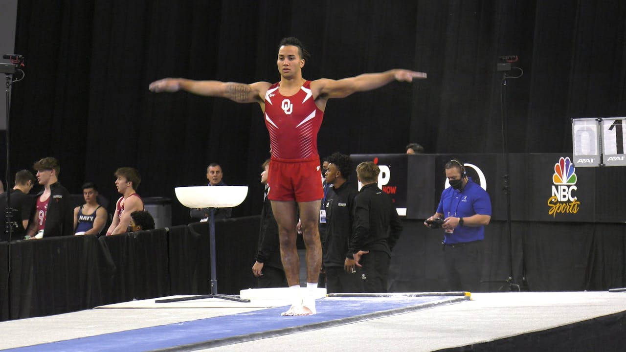 Raydel Gamboa - Vault - 2022 Winter Cup - Senior Men Day 2 - 2022 ...