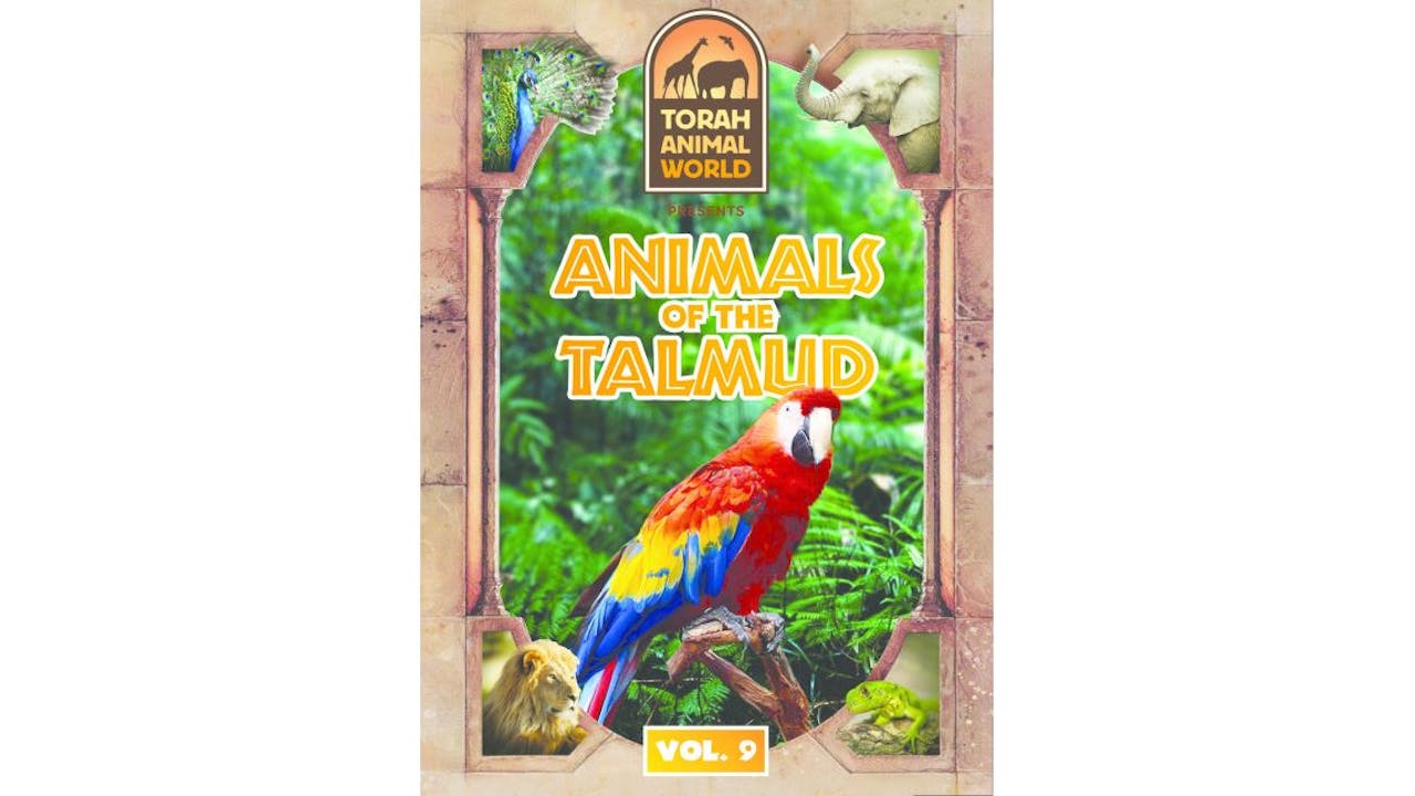 Animals of the Talmud Vol. 9 - Living Torah Museum Video Rentals
