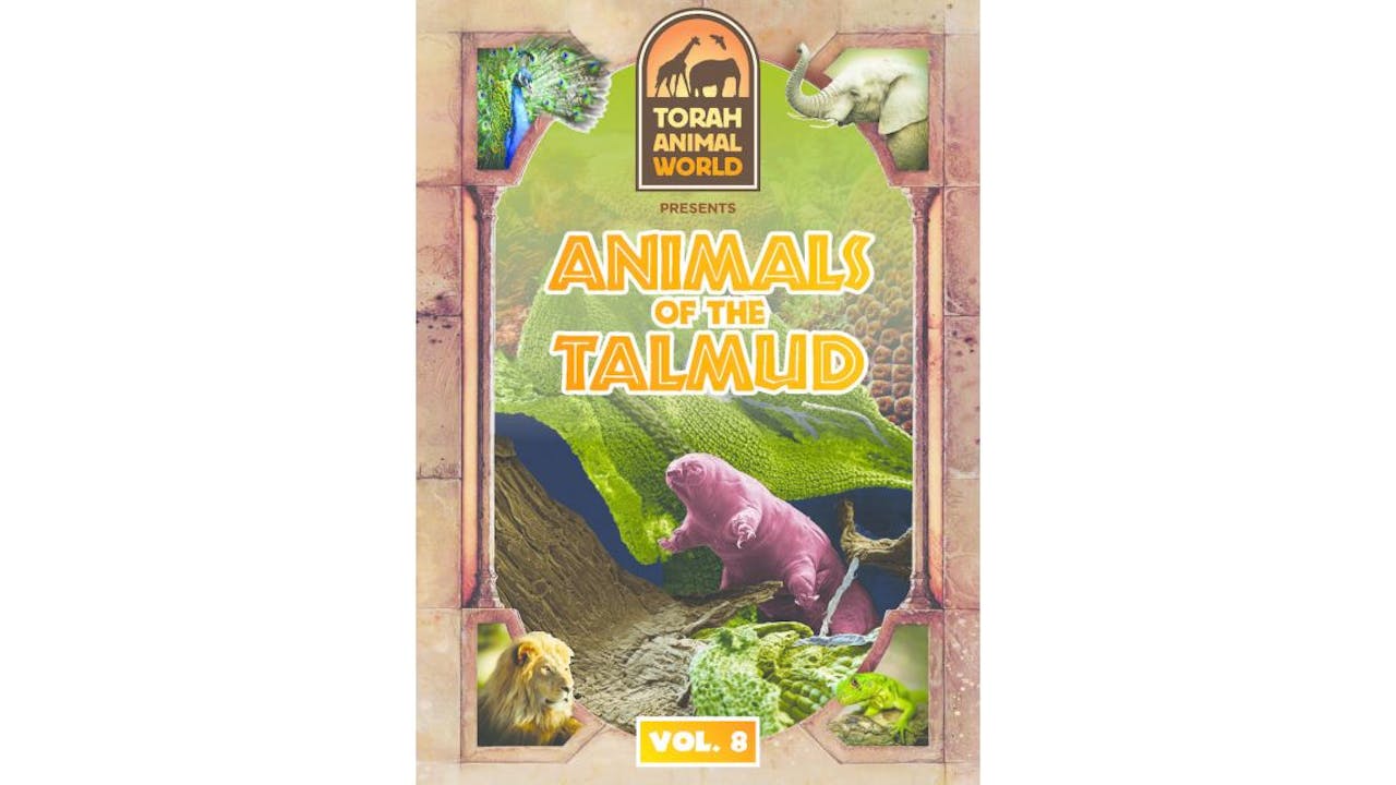Animals of the Talmud Vol. 8 - Living Torah Museum Video Rentals