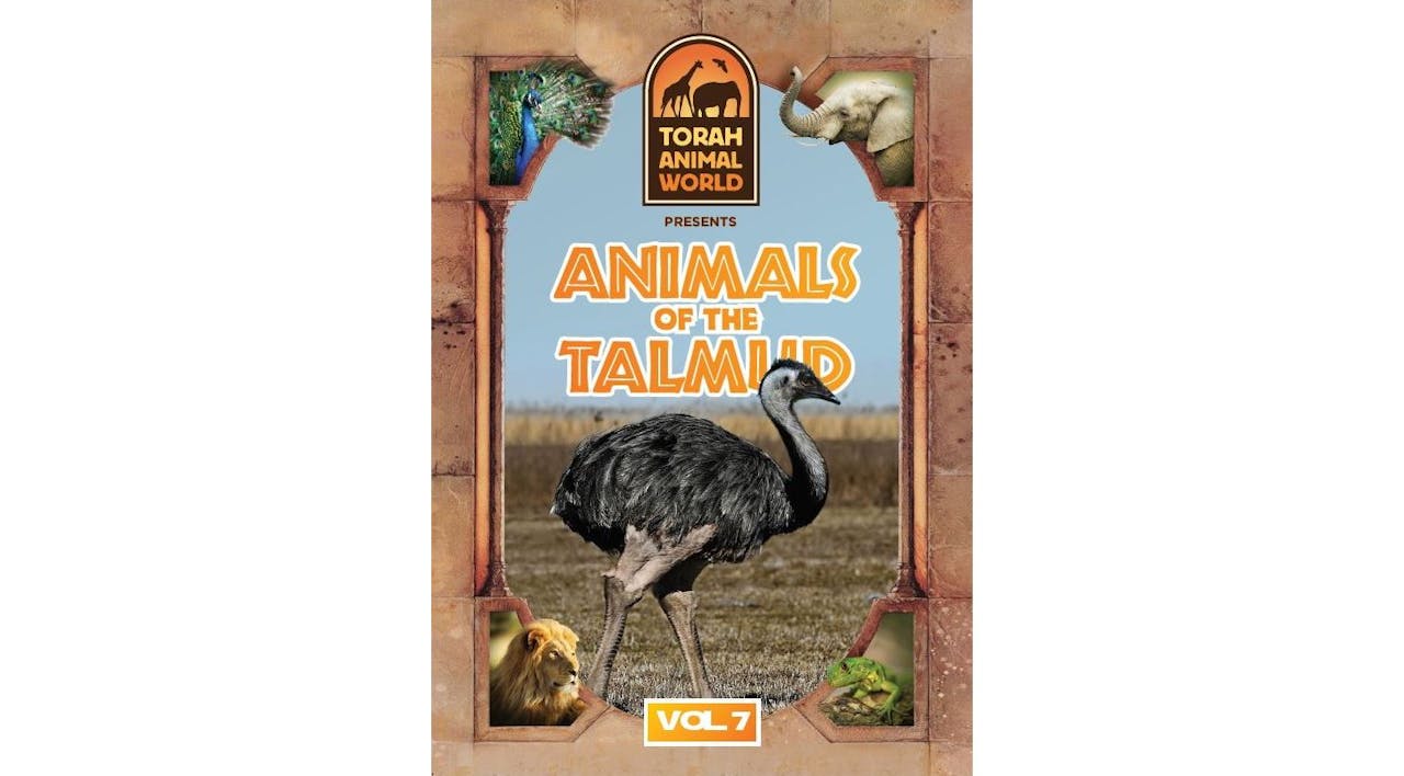 Animals of the Talmud Vol. 7 - Living Torah Museum Video Rentals