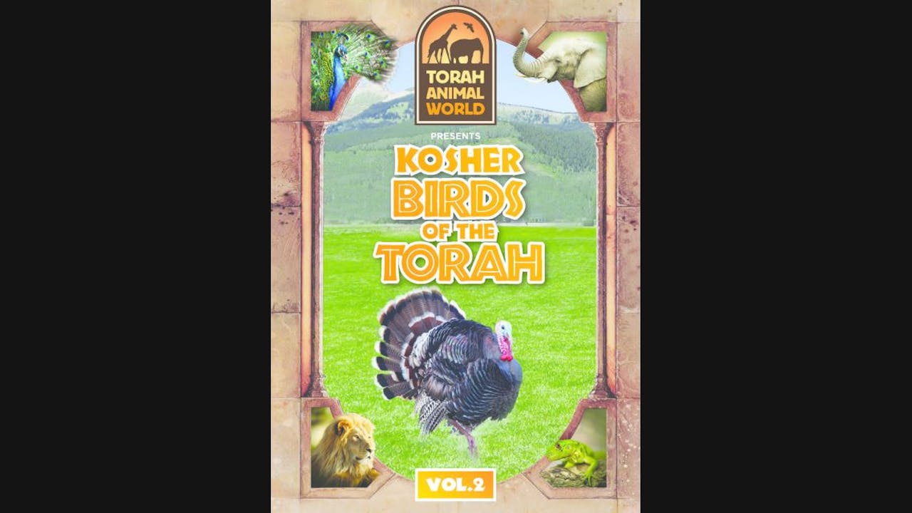 Kosher Birds of the Torah Vol. 2 - Living Torah Museum Video Rentals