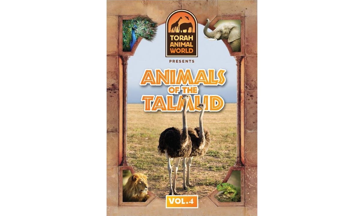 Animals of the Talmud Vol .4 - Living Torah Museum Video Rentals