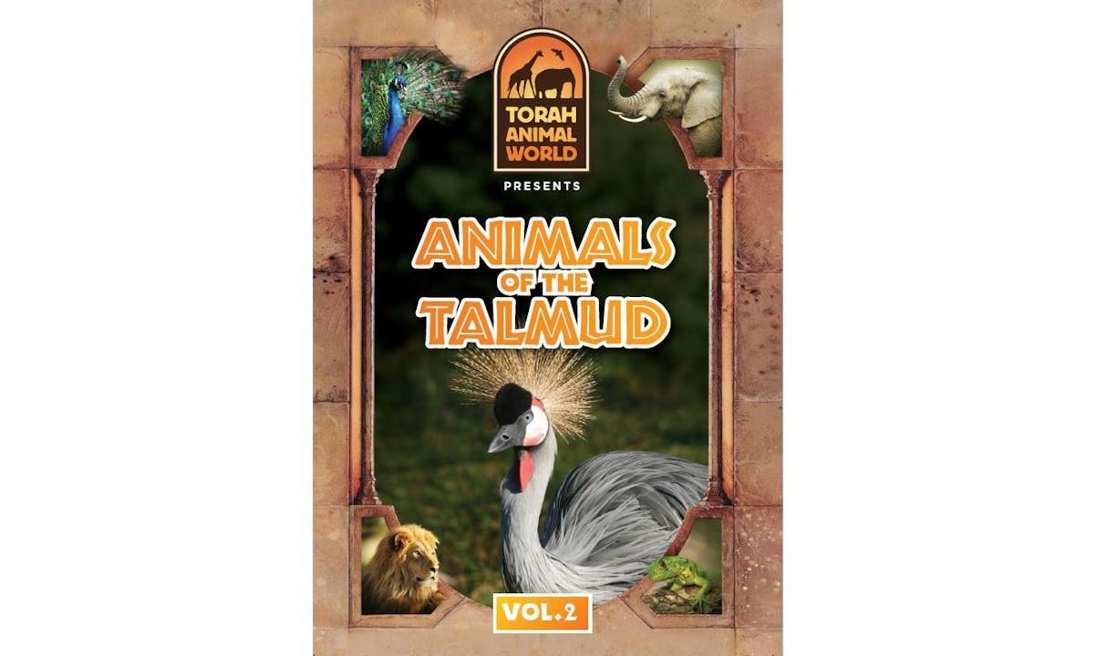 Animals of the Talmud Vol. 2 - Living Torah Museum Video Rentals